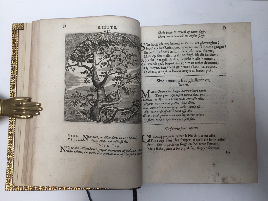 CATS, Jacob | Sokol Books